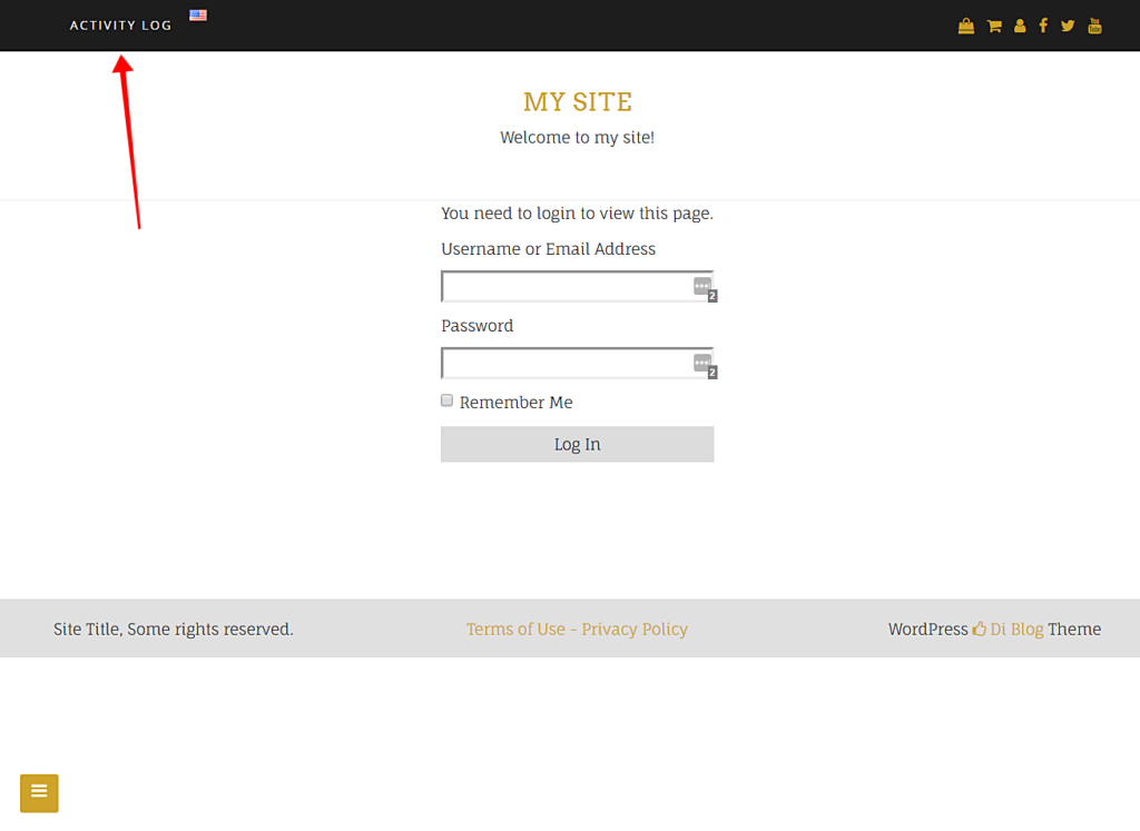 WordPress - Show Activity Log on the Frontend Dashboard